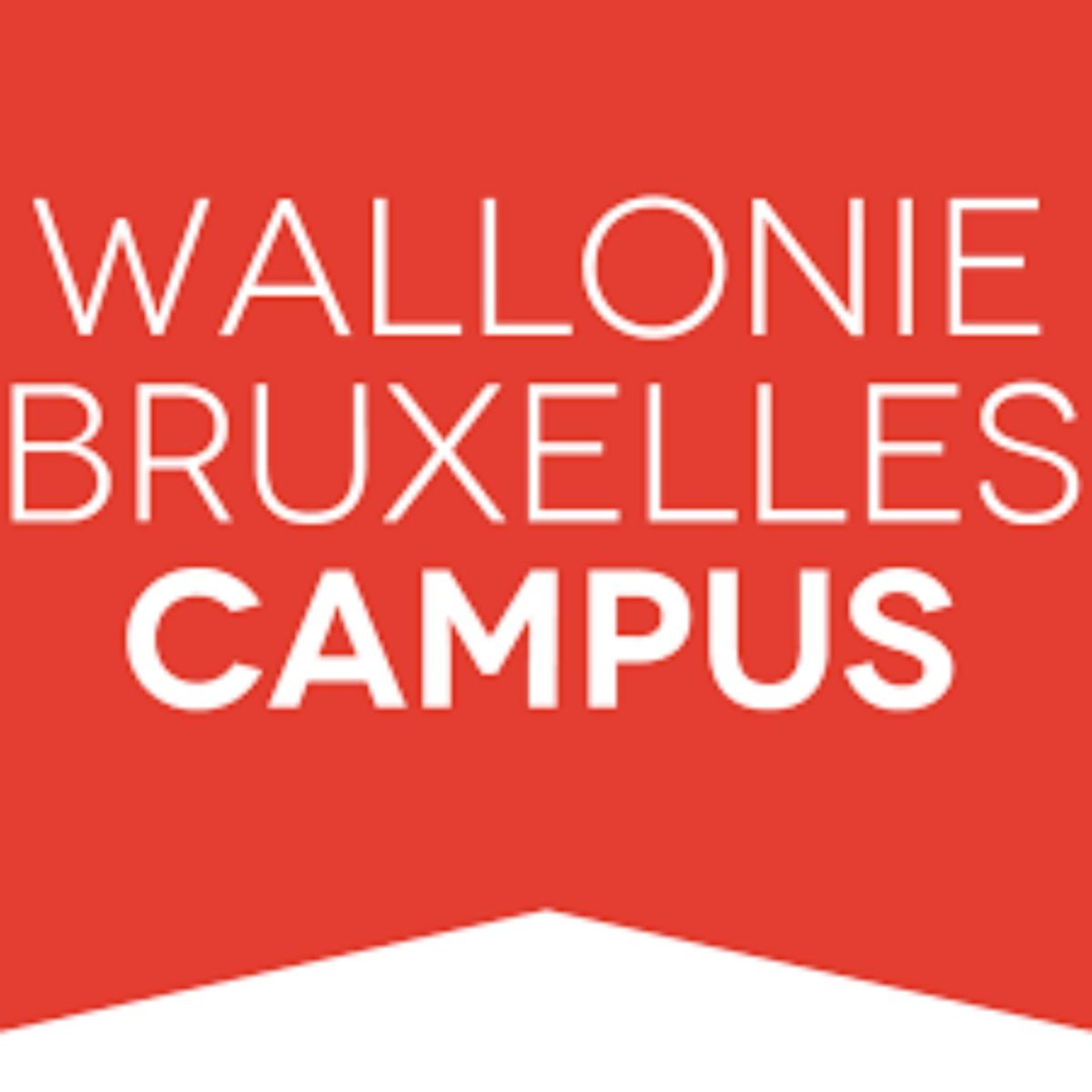 Wallonia-Brussels International Excellence 2023 Grants Programme
