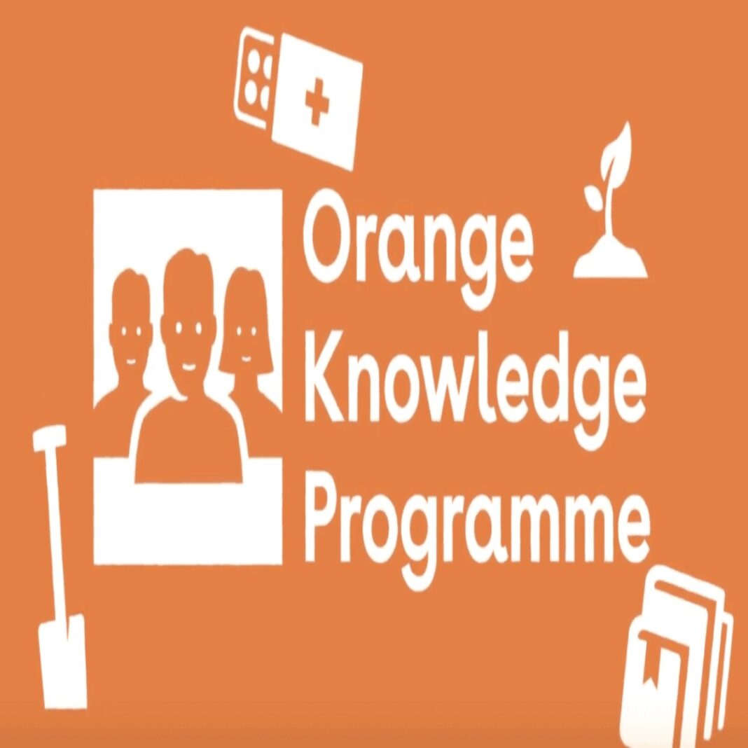 Orange Knowledge and MENA 2023 Scholarship Programme