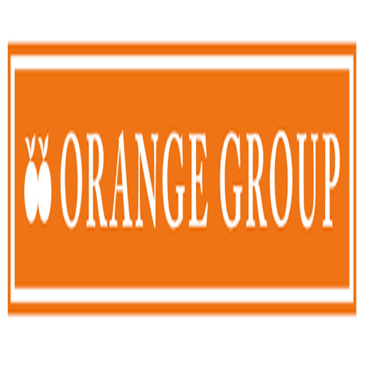 Orange Group 2024 Career Recruitment Program Application